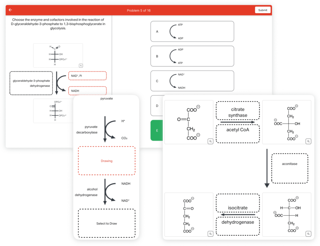 Teaching Biochemistry – Aktiv Learning