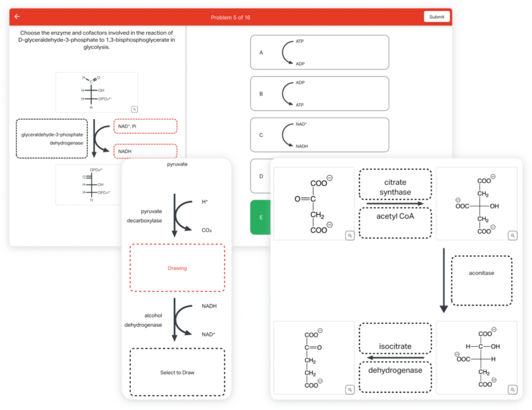 Teaching Biochemistry – Aktiv Learning